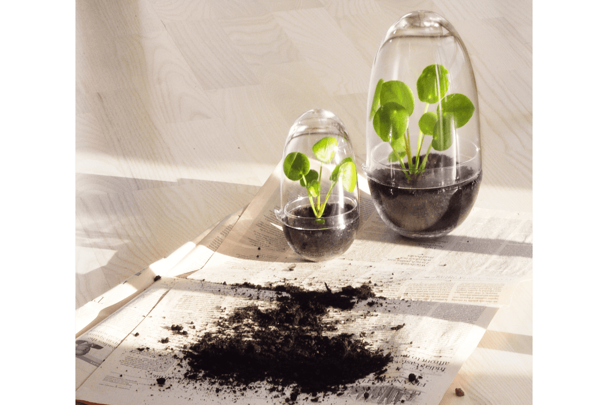 Grow Greenhouse - Design House Stockholm – Balconyliving.se